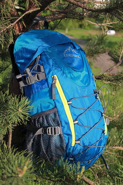 Types of Backpacks: A Guide to Different Backpack Styles