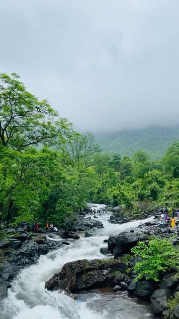 Coorg - Infifashion